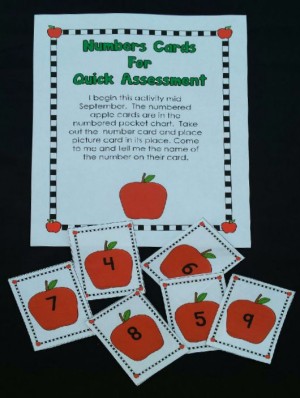 A Unique Way to Assess – Using a Pocket Chart